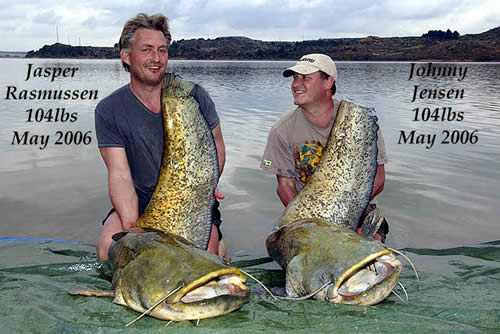 The Biggest and Best Fishing Photographs :: Catfish 100lb to 150lb :: 111_G