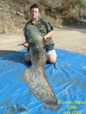 The Biggest and Best Fishing Photographs :: Catfish 100lb to 150lb :: 77_G