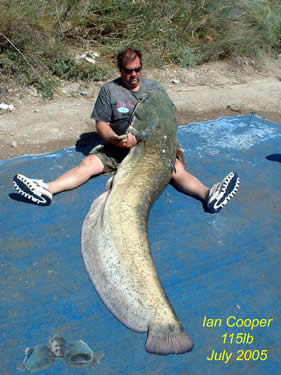 The Biggest and Best Fishing Photographs :: Catfish 100lb to 150lb :: 81_G