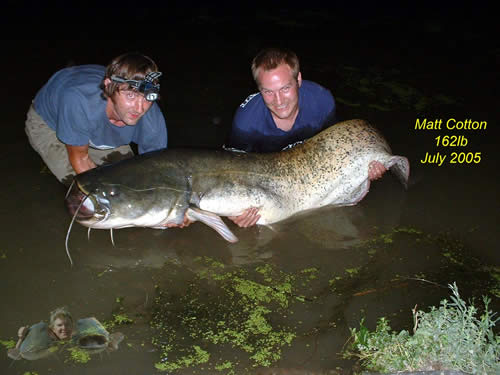 The Biggest and Best Fishing Photographs :: Catfish 150lb to 175lb :: 108_G