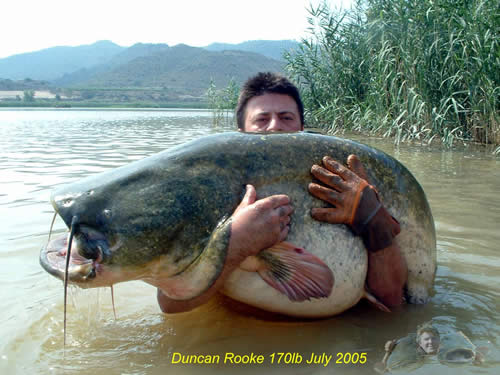 The Biggest and Best Fishing Photographs :: Catfish 150lb to 175lb :: 109_G