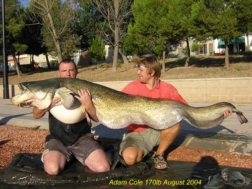 The Biggest and Best Fishing Photographs :: Catfish 150lb to 175lb :: 121_G