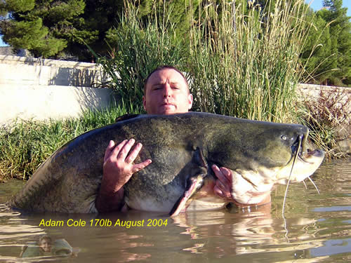 The Biggest and Best Fishing Photographs :: Catfish 150lb to 175lb :: 123_G