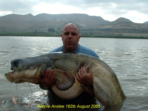 The Biggest and Best Fishing Photographs :: Catfish 150lb to 175lb :: 135_G