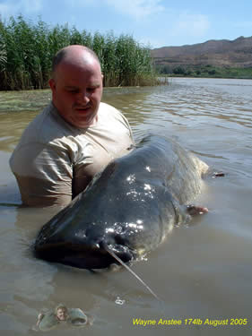 The Biggest and Best Fishing Photographs :: Catfish 150lb to 175lb :: 144_G