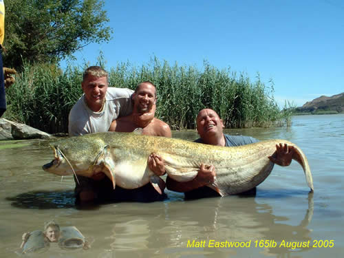 The Biggest and Best Fishing Photographs :: Catfish 150lb to 175lb :: 145_G