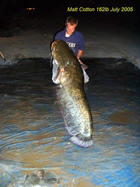 The Biggest and Best Fishing Photographs :: Catfish 150lb to 175lb :: 146_G