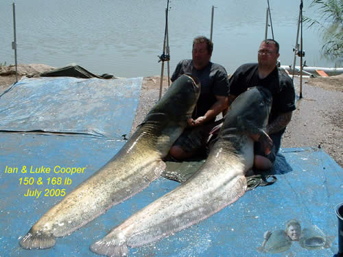 The Biggest and Best Fishing Photographs :: Catfish 150lb to 175lb :: 150_G