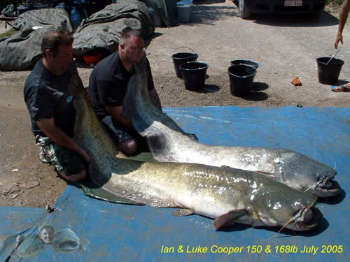 The Biggest and Best Fishing Photographs :: Catfish 150lb to 175lb :: 157_G