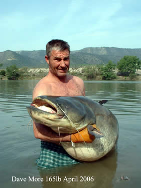 The Biggest and Best Fishing Photographs :: Catfish 150lb to 175lb :: 6_G