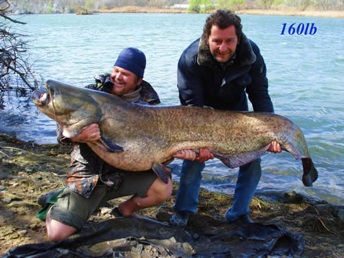 The Biggest and Best Fishing Photographs :: Catfish 150lb to 175lb ...