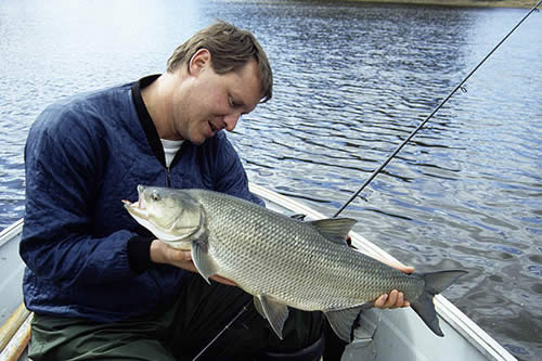 The Biggest and Best Fishing Photographs :: Johnny Jensen :: Sweden_Asp ...